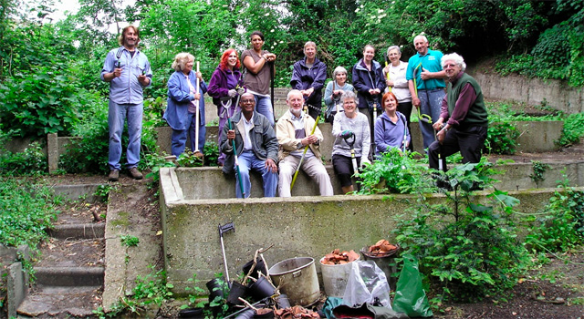 Fancy growing your own in Maryon Park? – The Charlton Champion