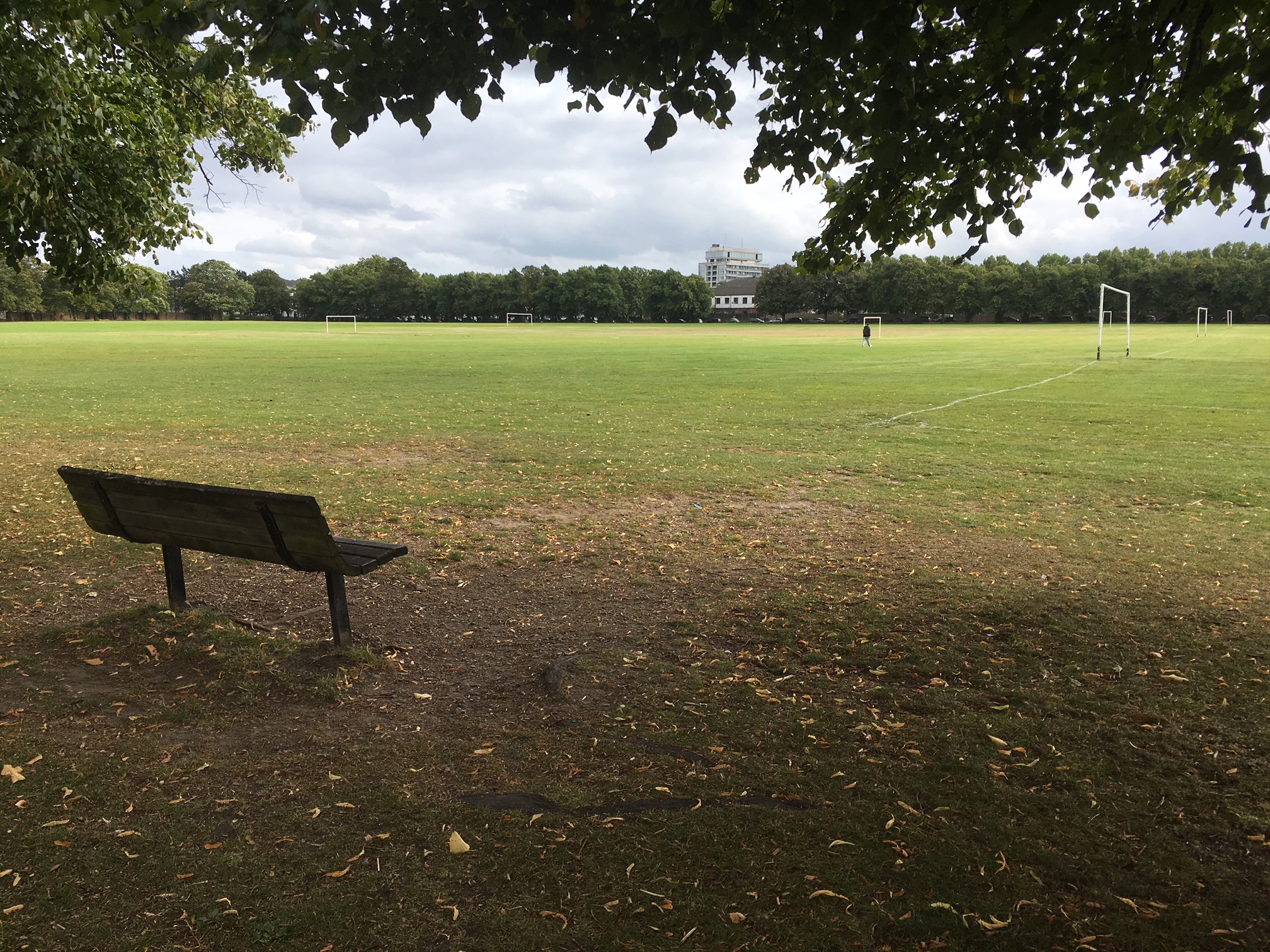 Love Charlton Park? Got an idea for it? Come to the Friends of Charlton ...