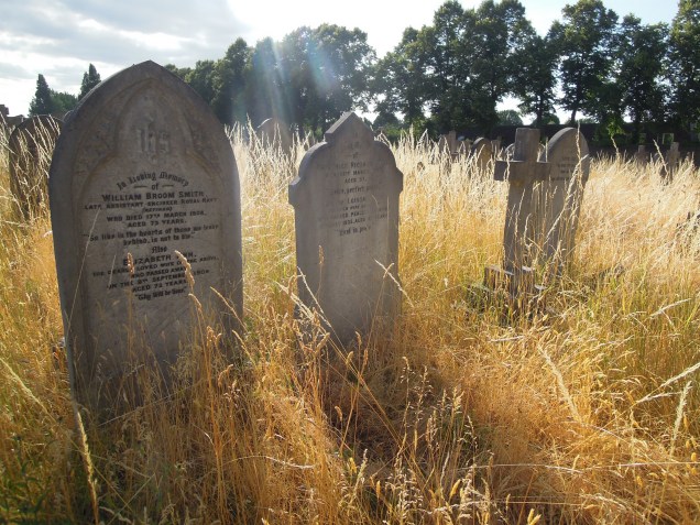 Conservation in Charlton Cemetery: Why the long grass matters – The ...